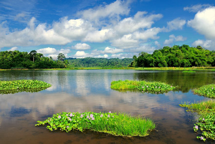 What to do at Cat Tien National Park, Vietnam - i-to-i TEFL